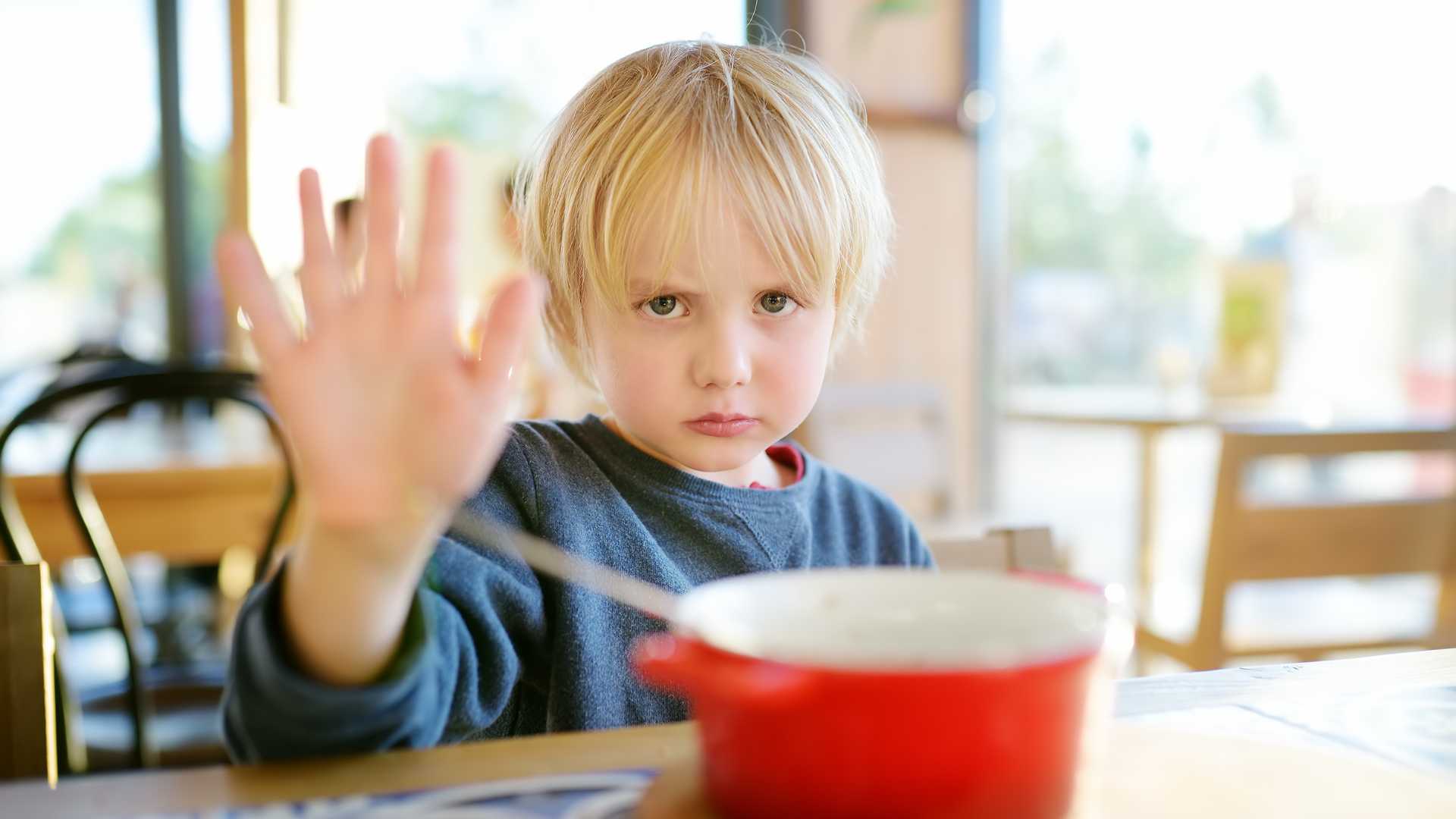 Pathological Demand Avoidance: Navigating the Complex Landscape of ...