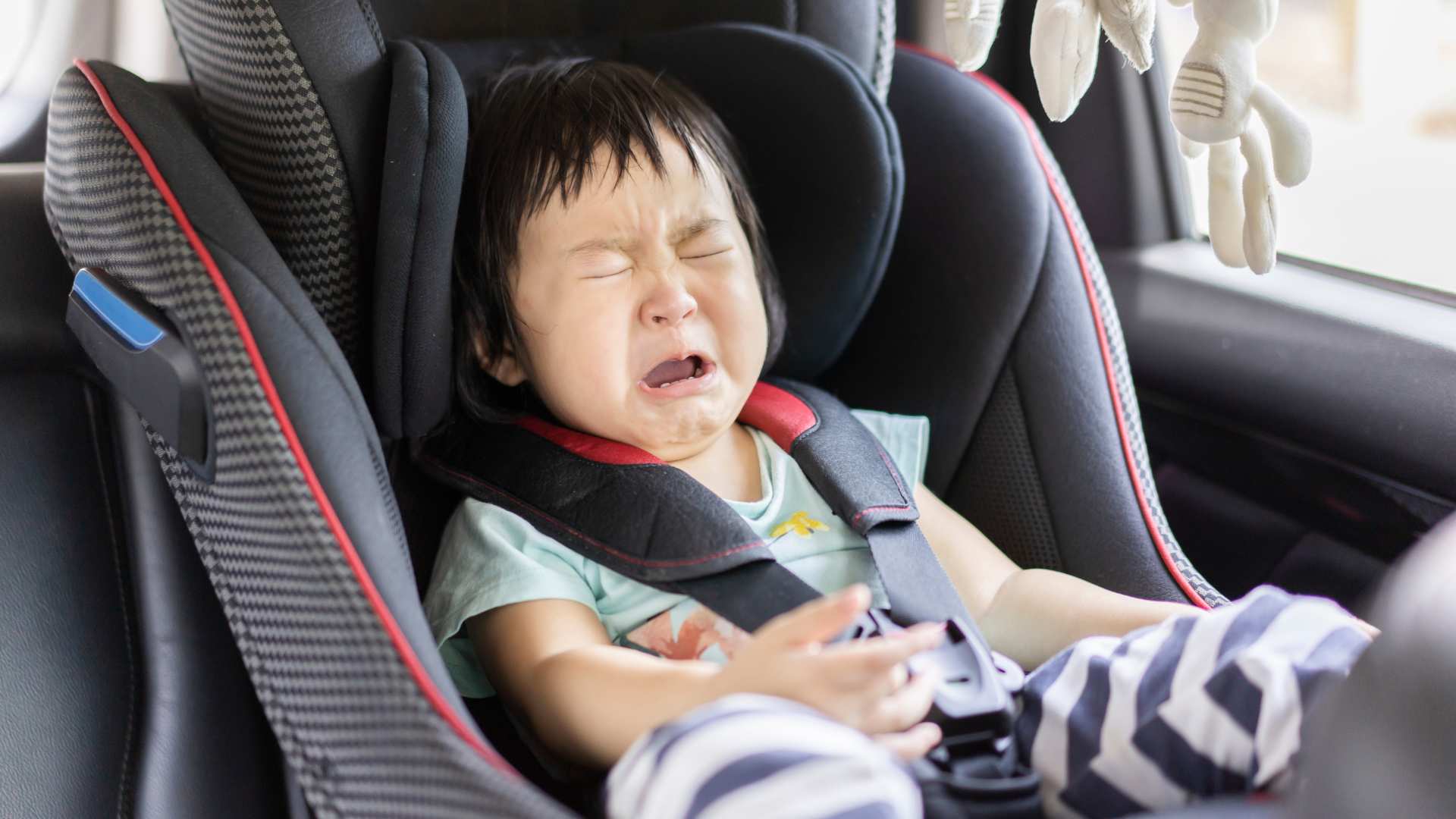 Autism and Car Seats: Navigating Sensory Needs and Car Safety | ABA ...
